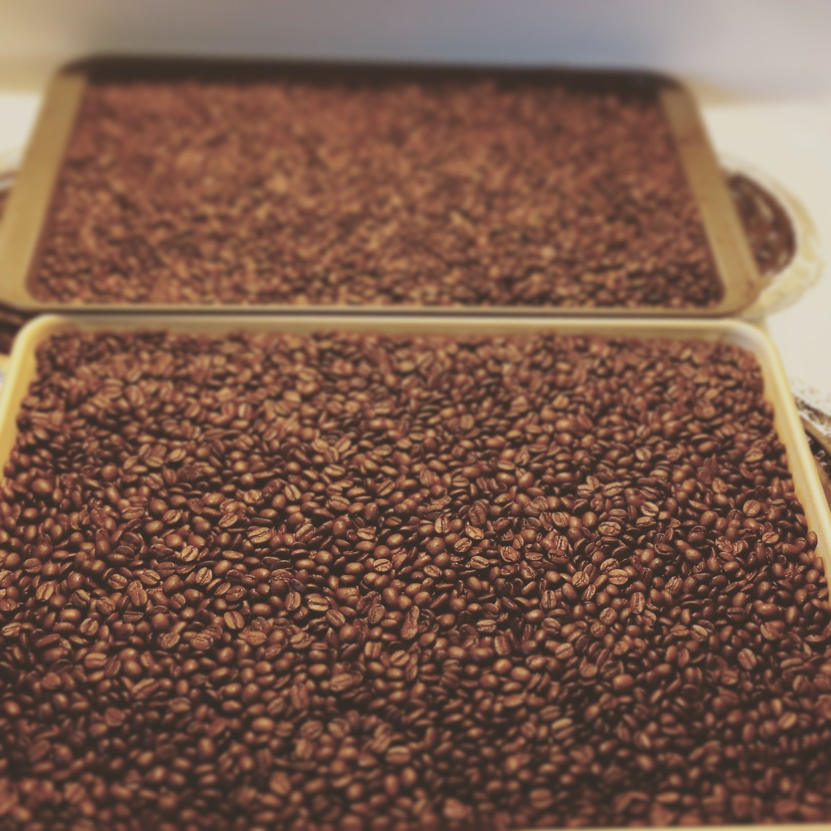 The Beginning – Nuclear Coffee